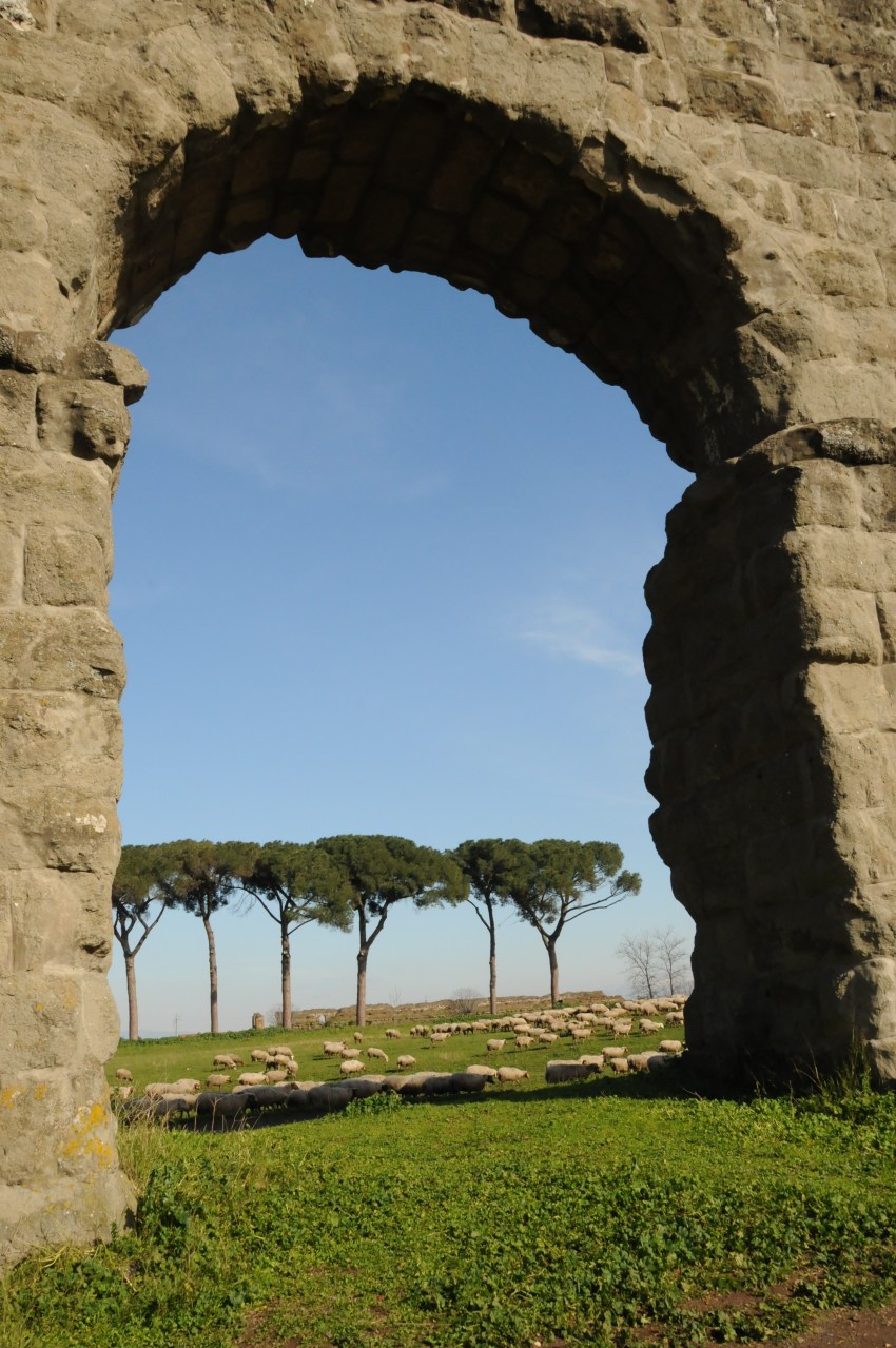 Water Technologies of Ancient Rome and Surrounding Areas | ancient ...