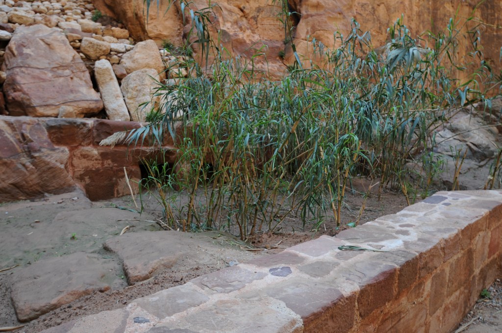 Ancient Water Technologies of the Nabataeans | ancient water technologies